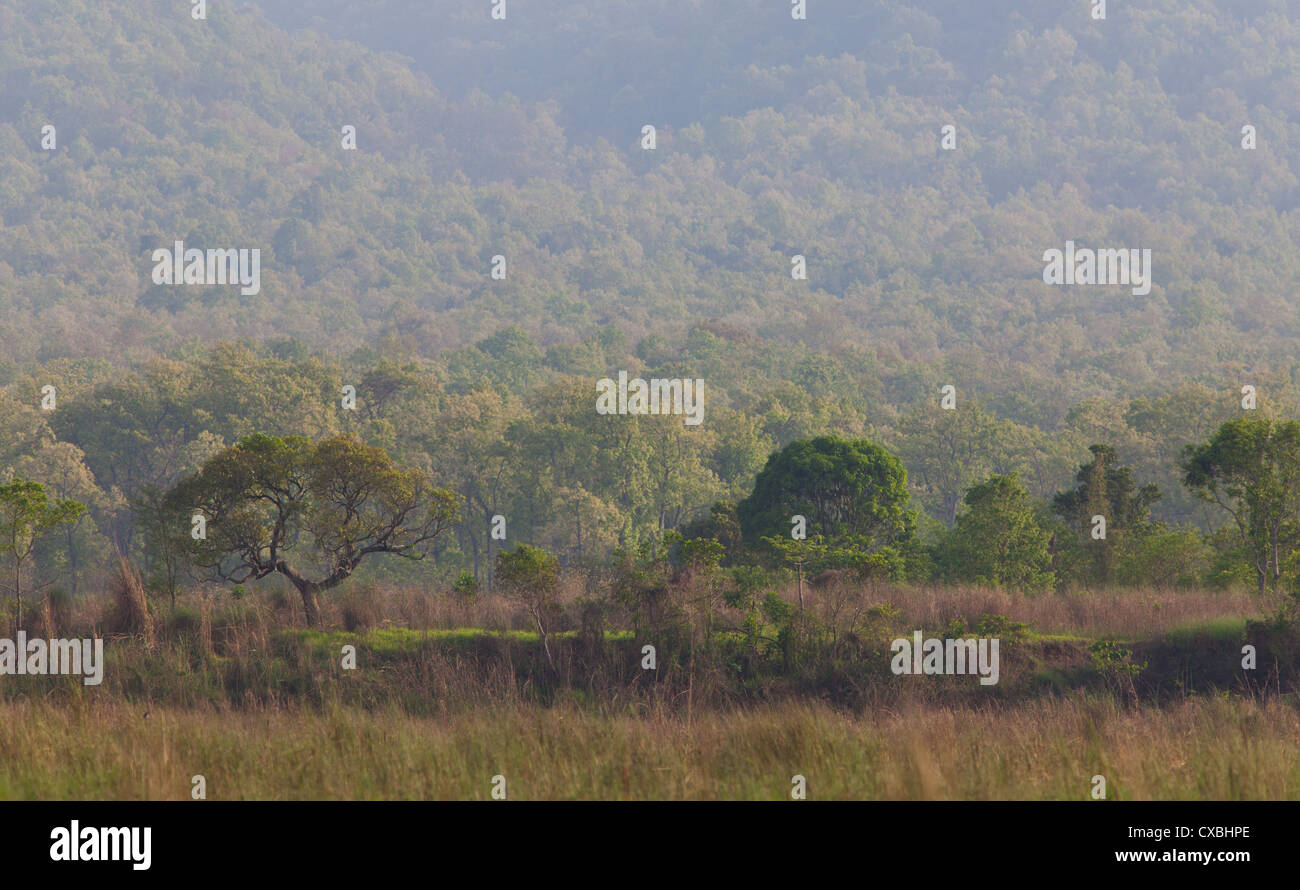 Chitwan national park hi-res stock photography and images - Alamy