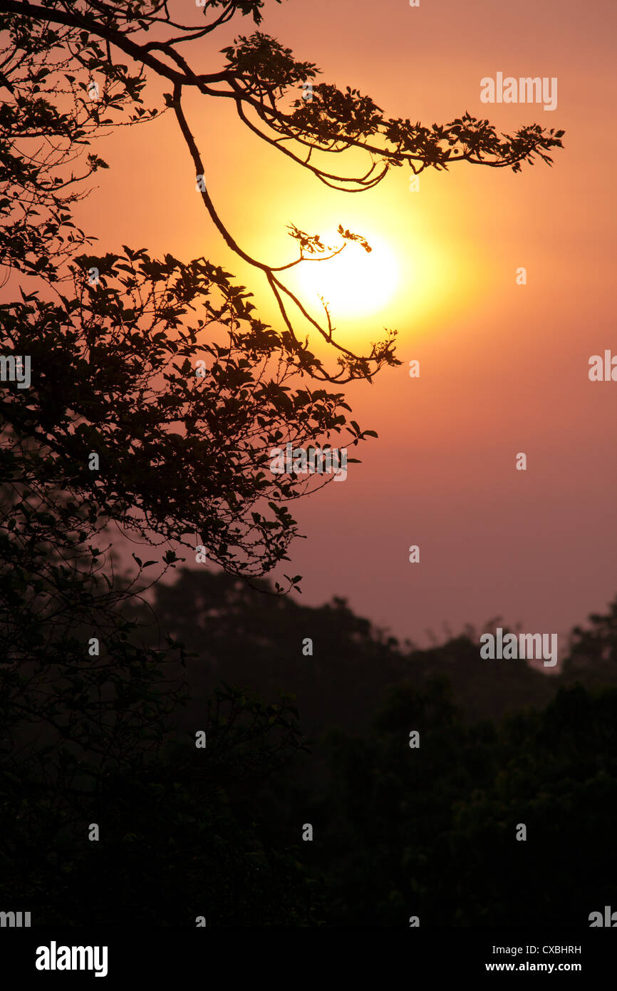 Sunrise chitwan park nepal hi-res stock photography and images - Alamy