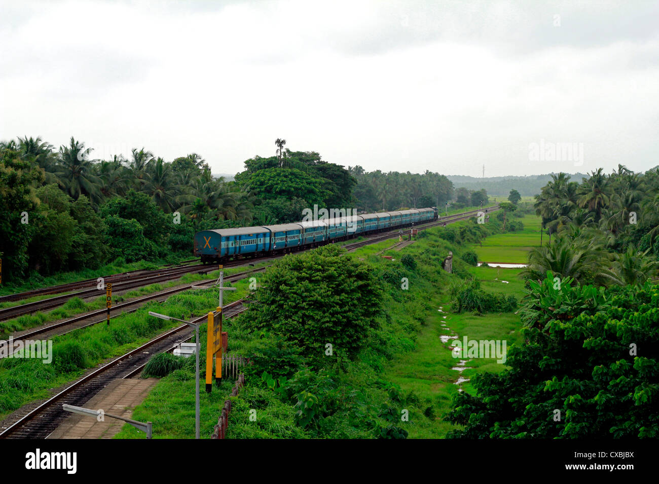 A train in India chugging along greenery in Kuttipuram, kerala Stock ...