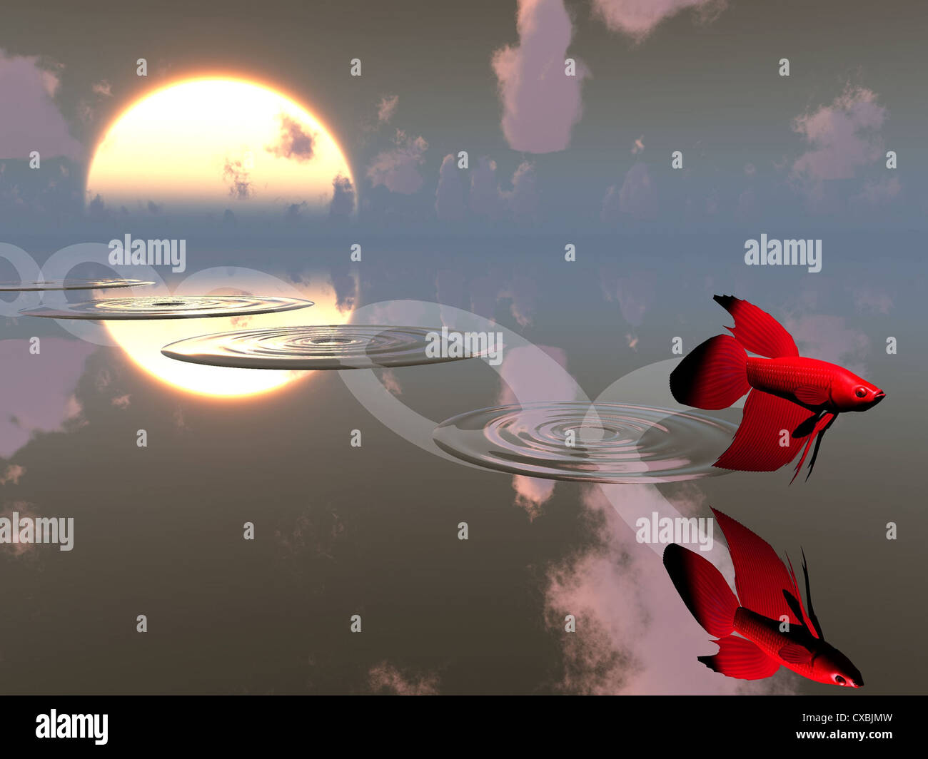 ricochet from a red fish Stock Photo - Alamy