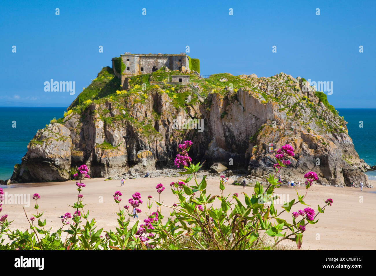 St catherine's island tenby hi-res stock photography and images - Alamy