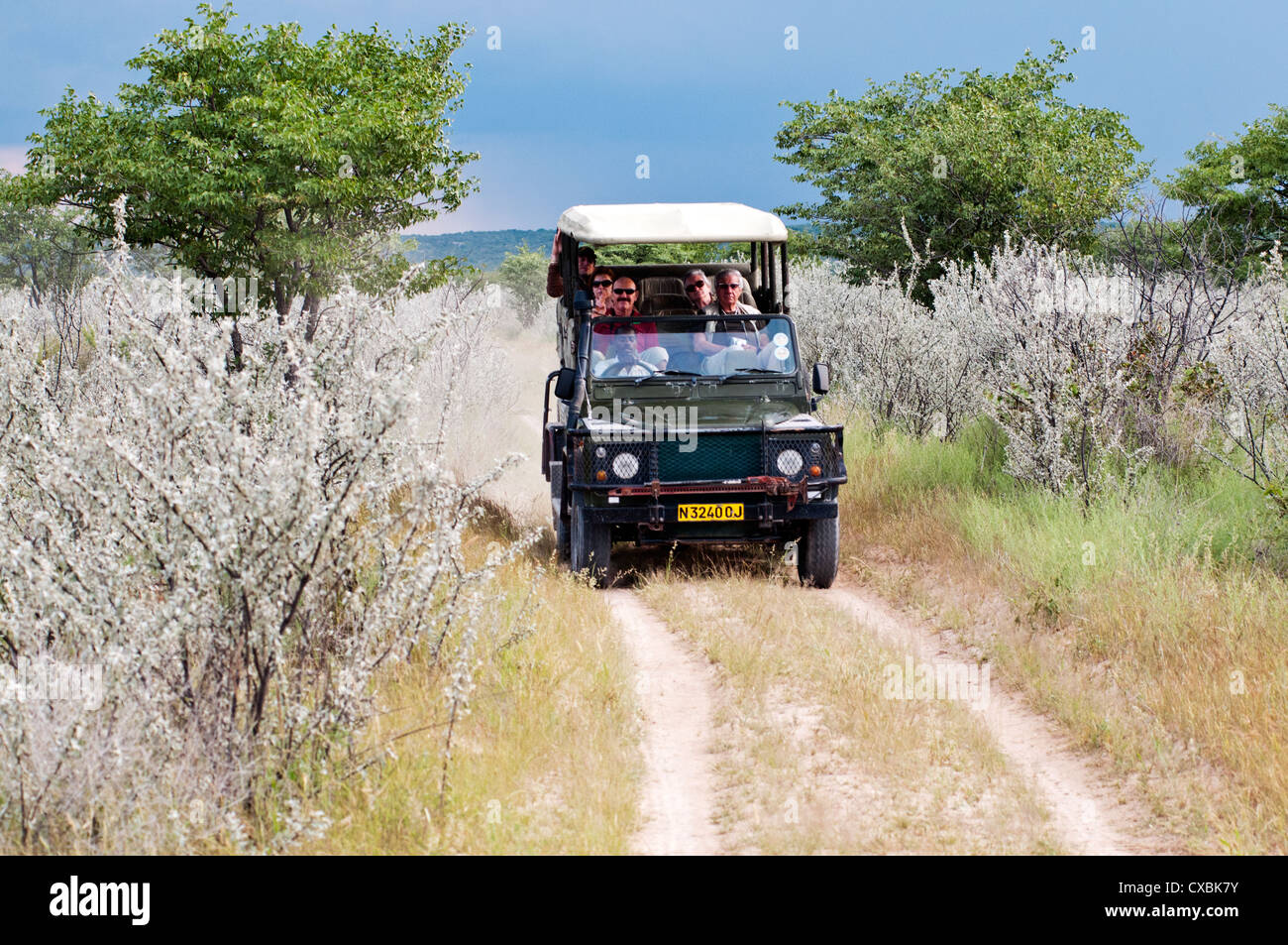 Ongava Game Reserve, Namibia, Africa Stock Photo - Alamy