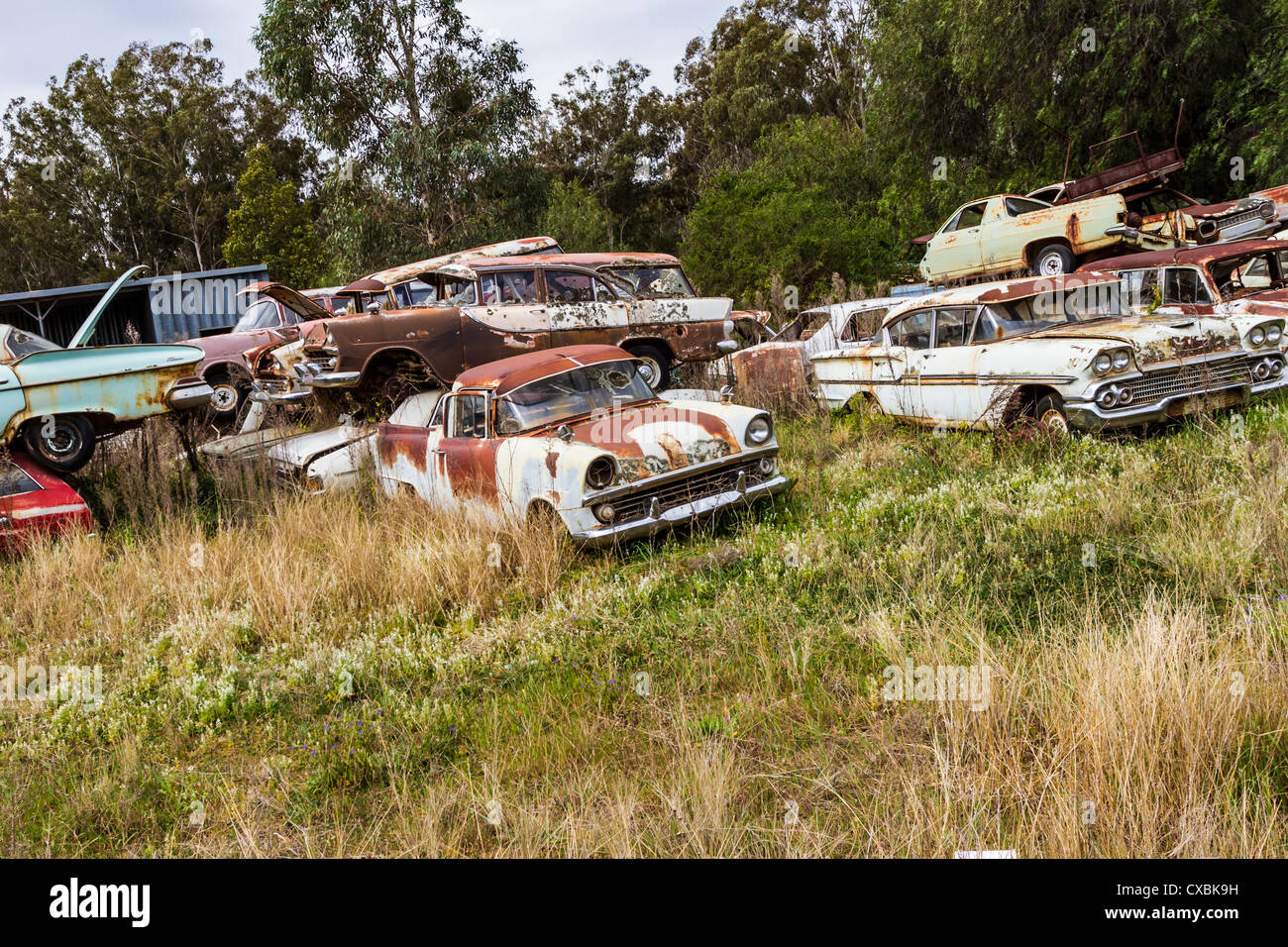 Car wrecking yard Stock Photo - Alamy