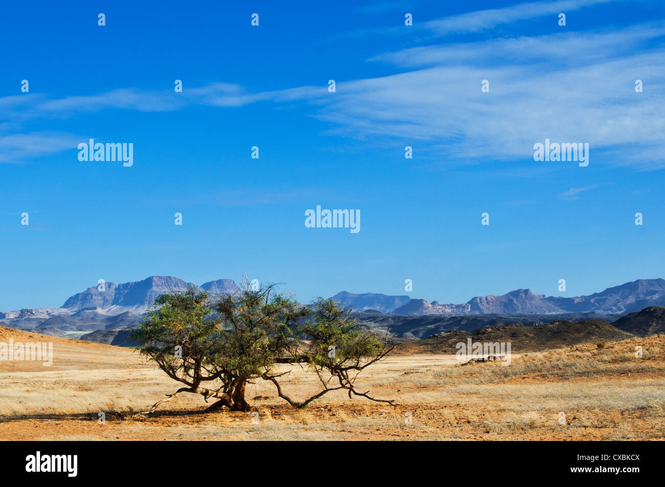 Huab river valley area damaraland hi-res stock photography and images ...