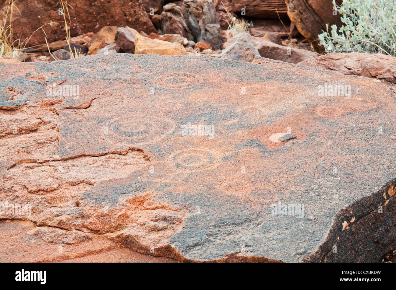 Petroglyphs or rock engravings, Twyfelfontein, UNESCO World Heritage ...