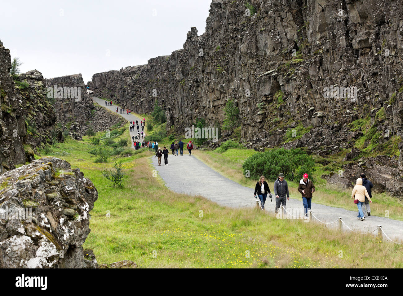 Rift valley, Pingvellir National Park, Iceland Stock Photo - Alamy