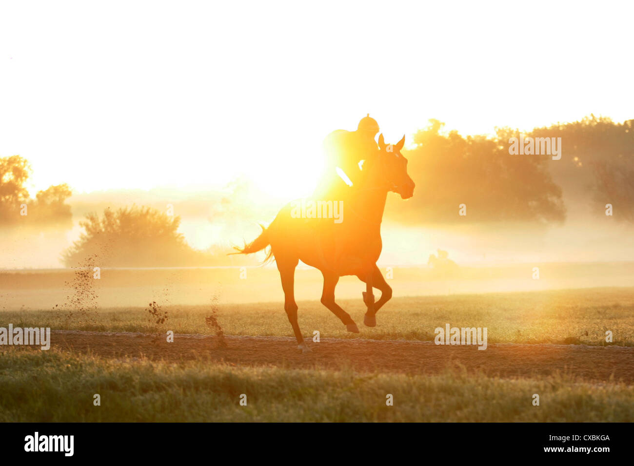 Rider to horse hi-res stock photography and images - Alamy