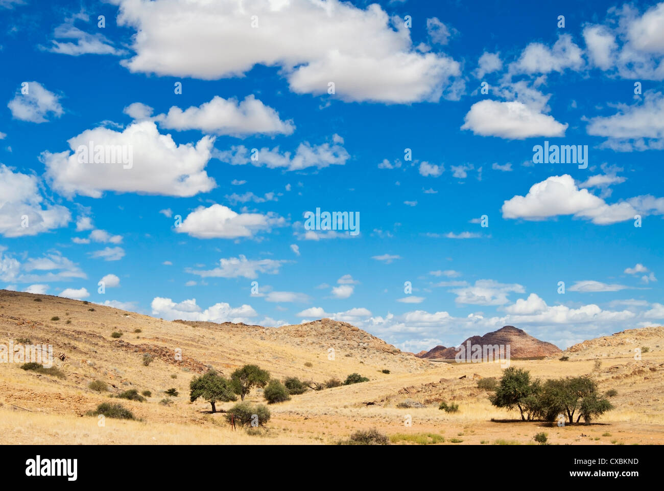 Namibia desert hi-res stock photography and images - Alamy