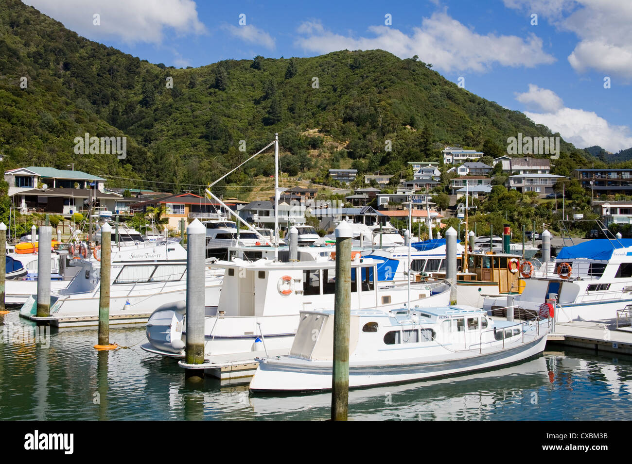 Picton marina new zealand hi-res stock photography and images - Alamy