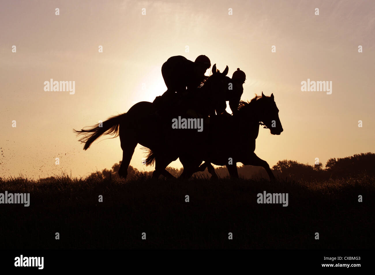 Riders and horses hi-res stock photography and images - Alamy