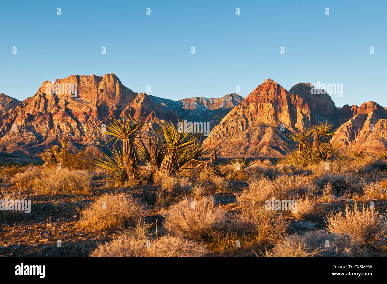 Red rock america hi-res stock photography and images - Alamy