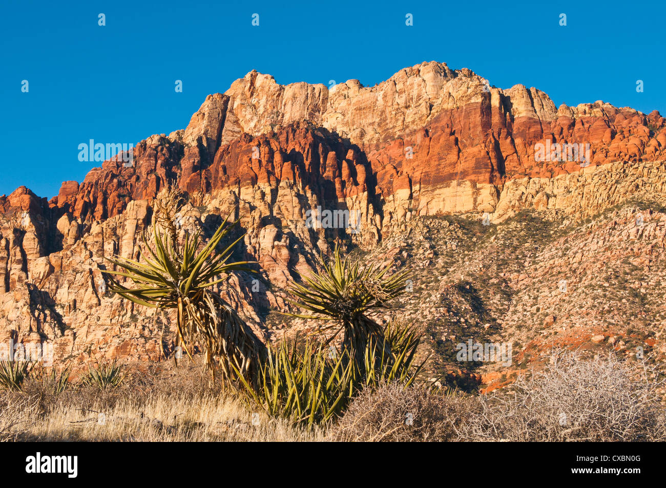 Red rock america hi-res stock photography and images - Alamy