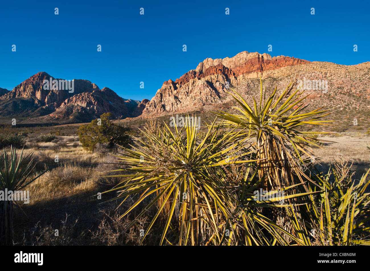 Layers of red rock hi-res stock photography and images - Alamy