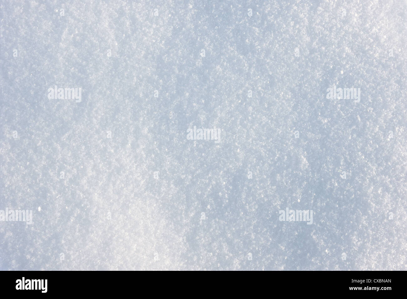 Frosty winter day, blue and white snow texture Stock Photo - Alamy