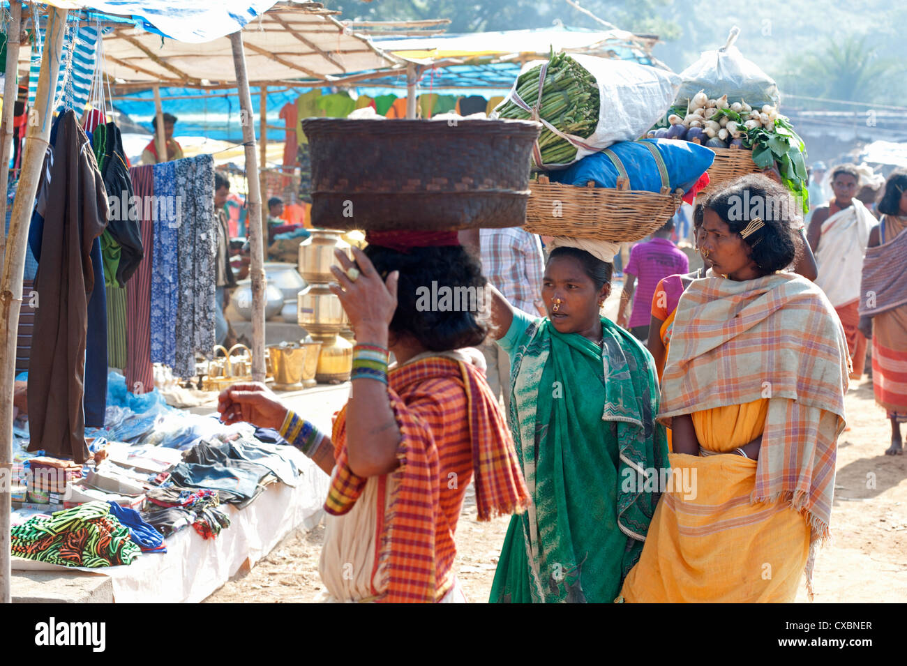 Bissam cuttack hi-res stock photography and images - Alamy