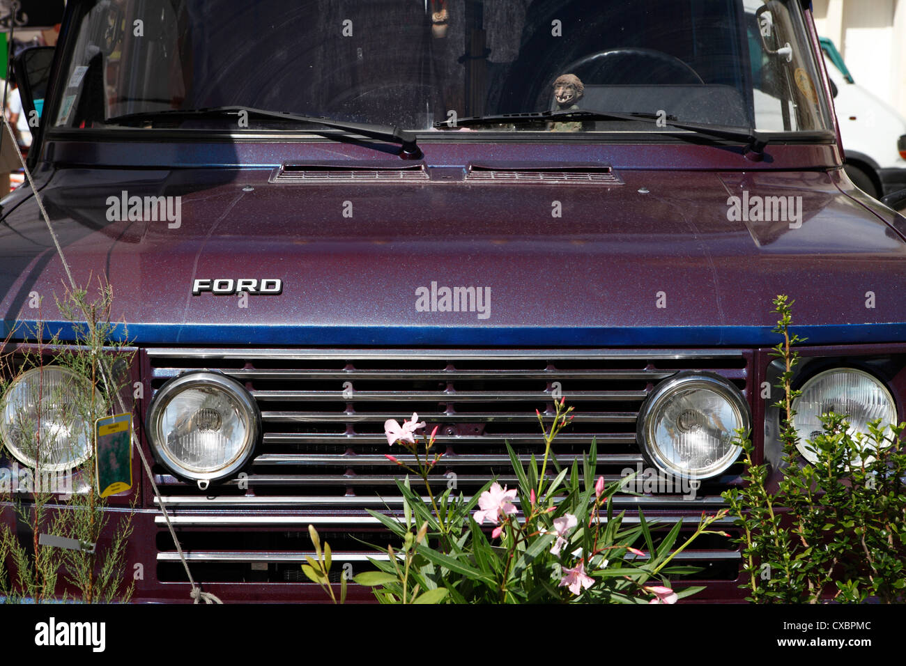 Paintjob hi-res stock photography and images - Alamy