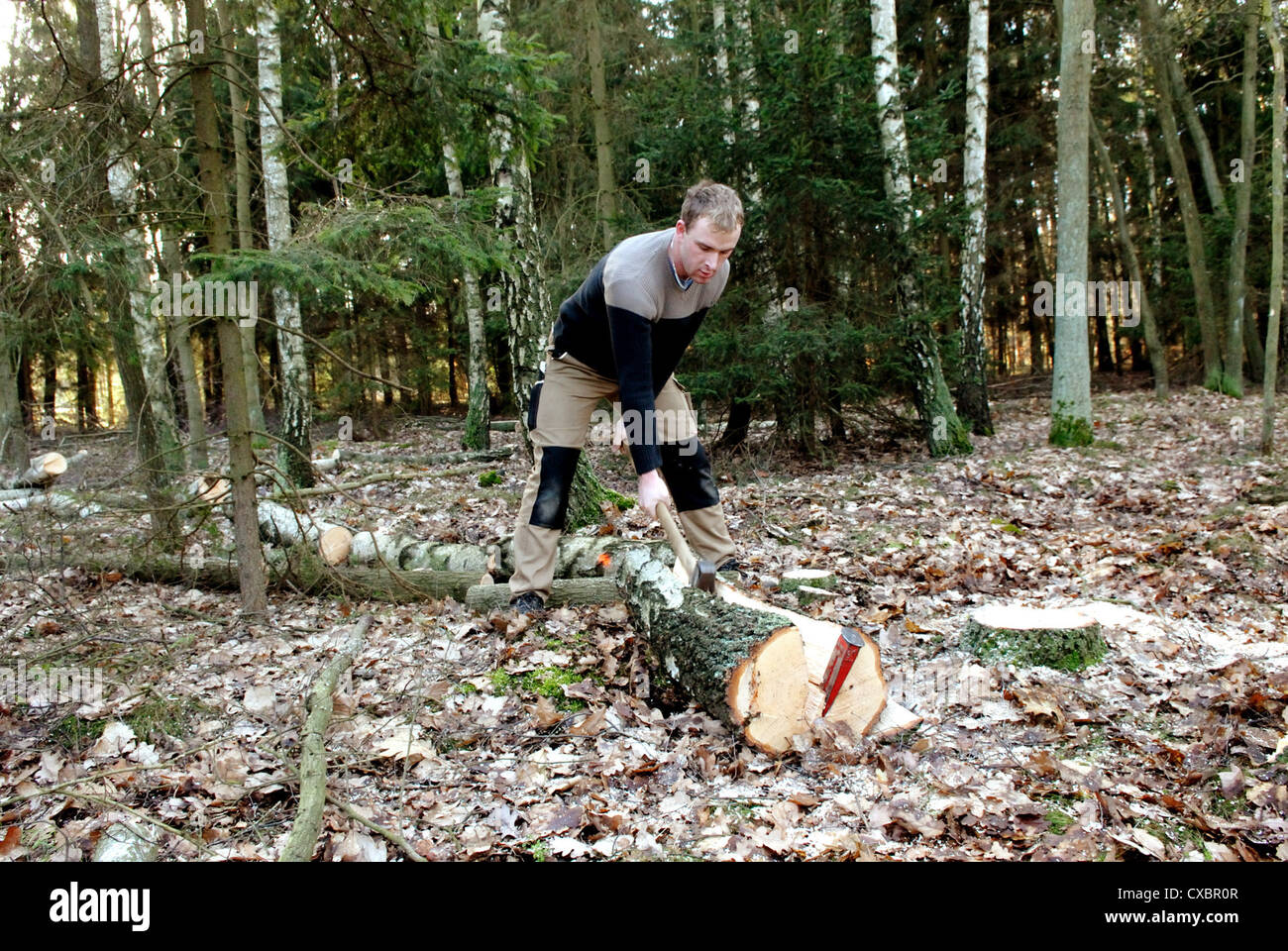 Occupational safety and health icon hi-res stock photography and images ...