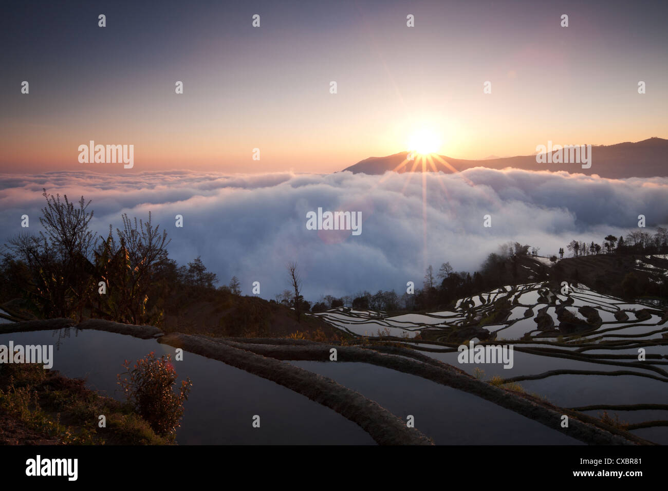 Landscape,scenery,outdoor,terraces,fog,natural,daytime, landmark, water ...