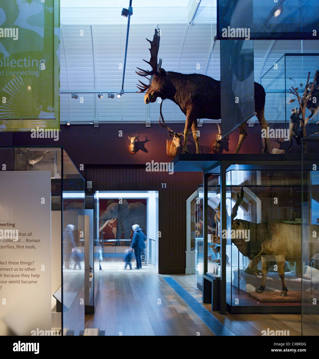 RAMM, The Royal Albert Memorial Museum, Exeter, United Kingdom ...