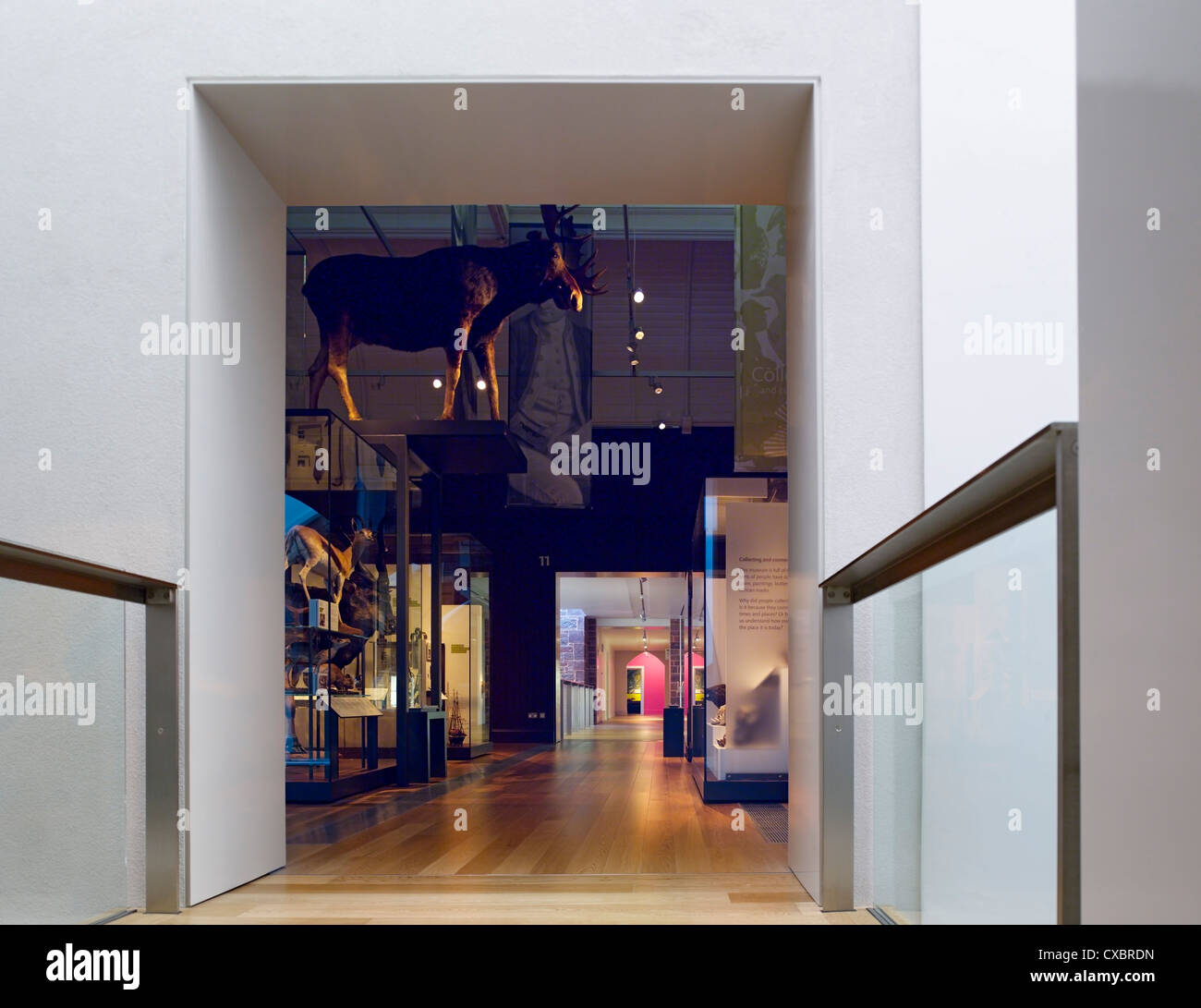 RAMM, The Royal Albert Memorial Museum, Exeter, United Kingdom ...