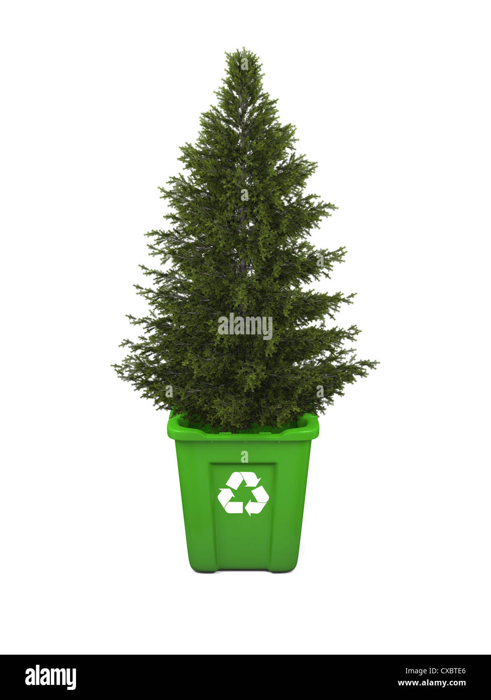 Recycling concept with coniferous tree growing in green recycle bin ...