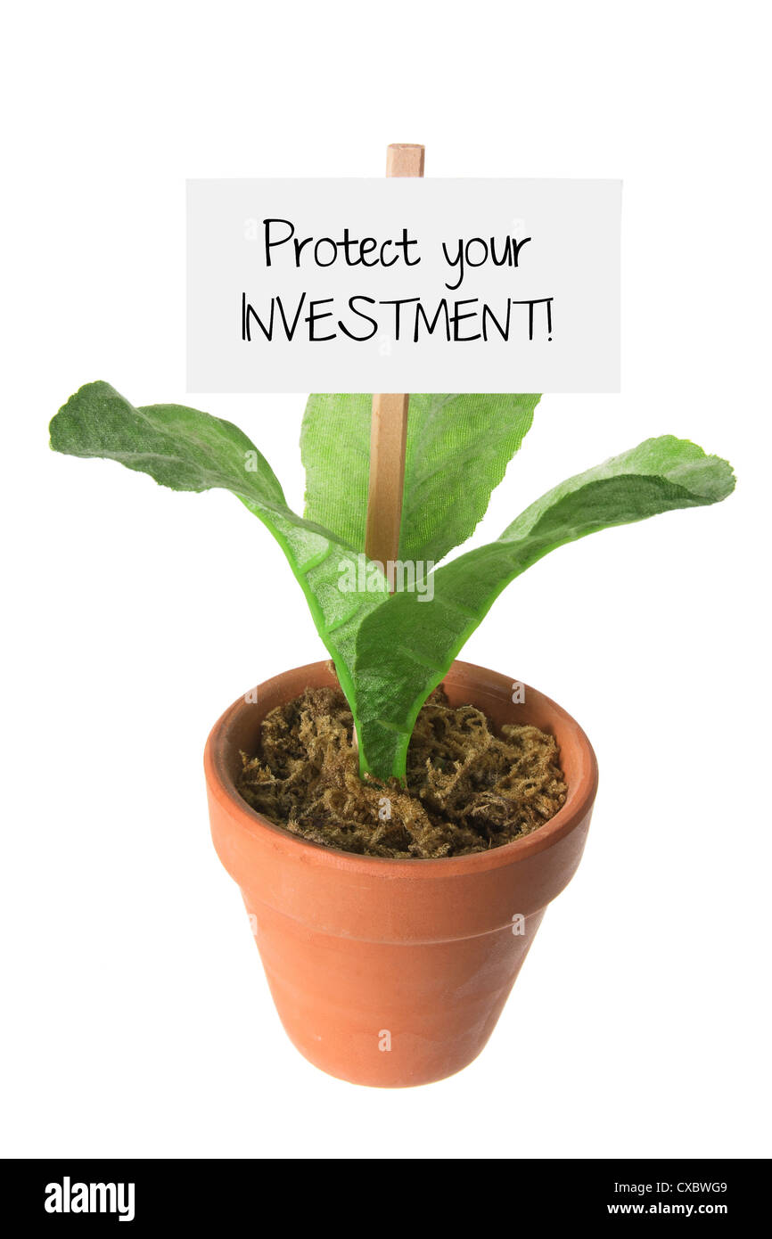 Pot Plant with Message Stock Photo - Alamy