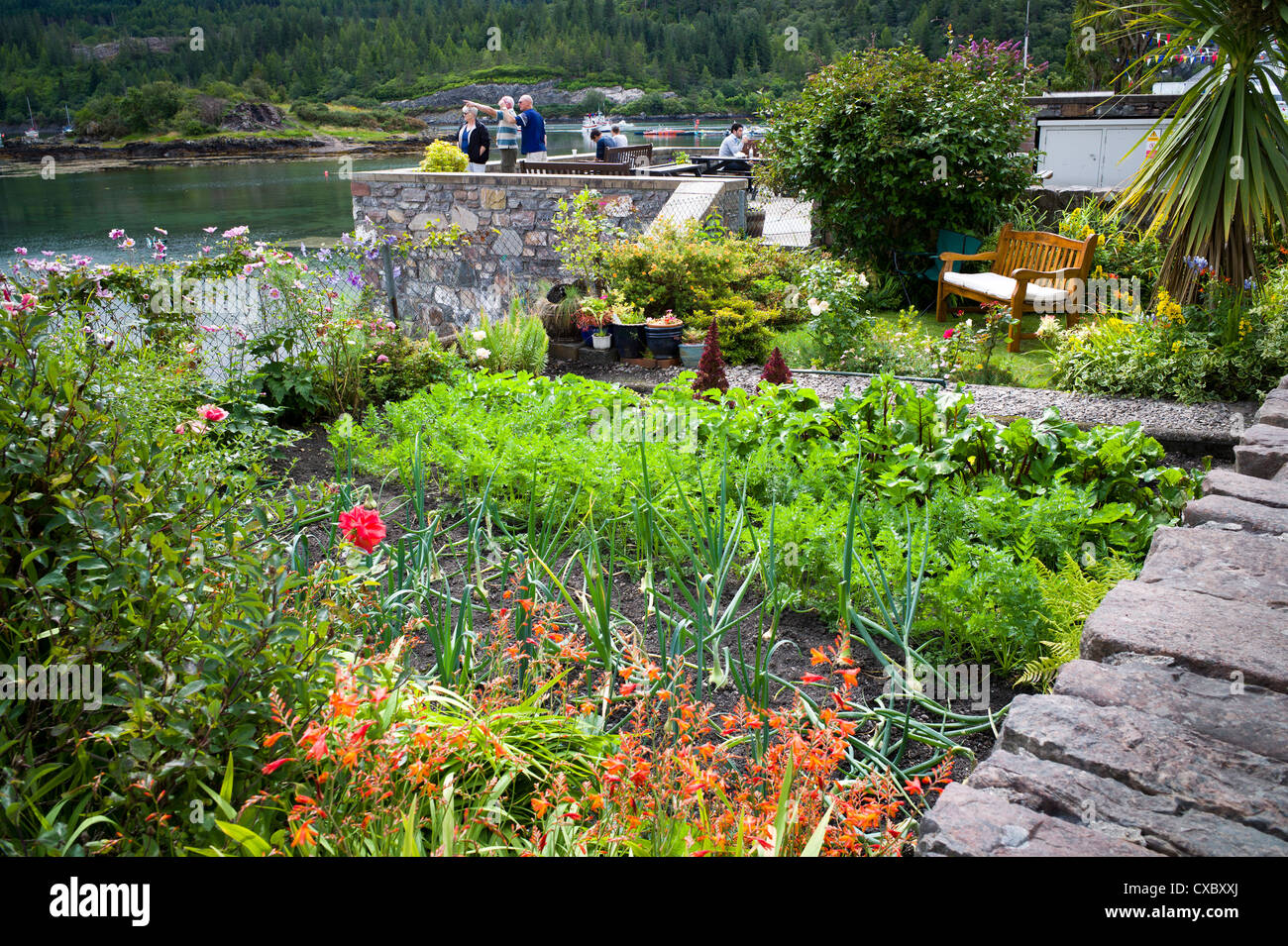 Potager garden vegetables hi-res stock photography and images - Alamy