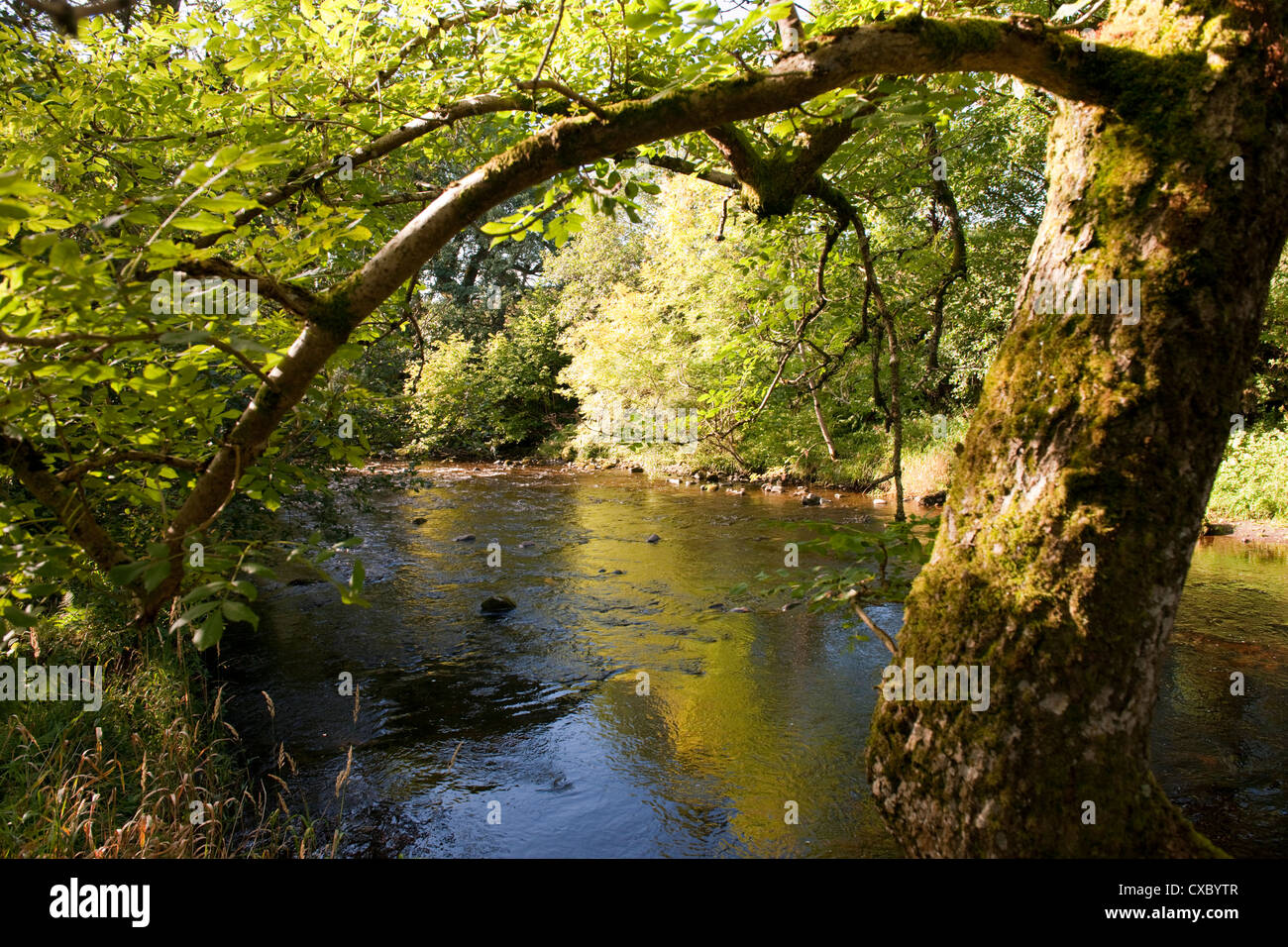 Evan Water is a river flowing near the village of Beattock in the ...