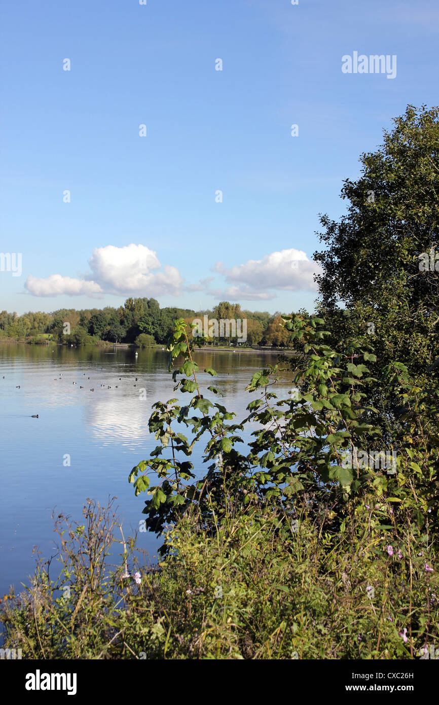 Flash ponds hi-res stock photography and images - Alamy