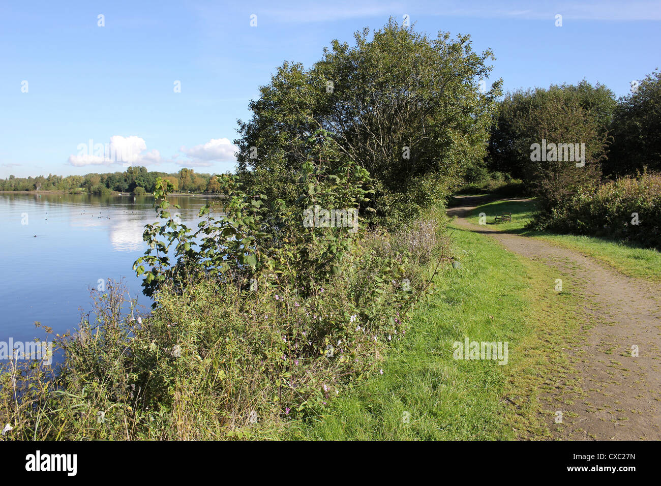 Pennington park landscape hi-res stock photography and images - Alamy