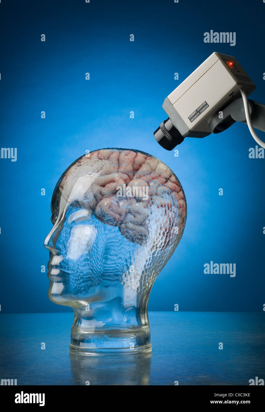 Head and brain hi-res stock photography and images - Alamy
