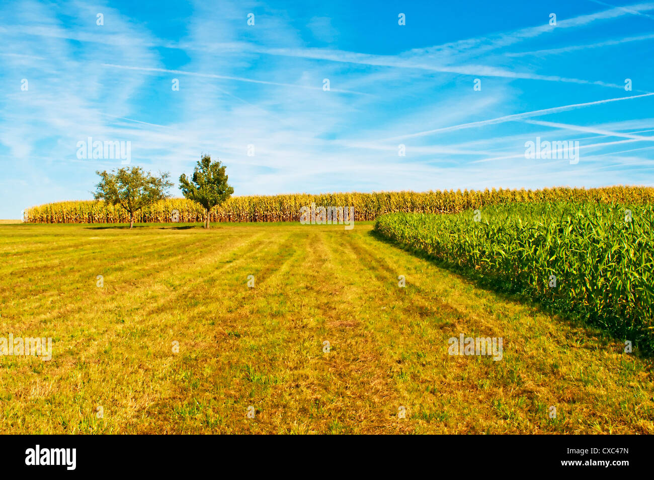 Gas extraction plants hi-res stock photography and images - Alamy