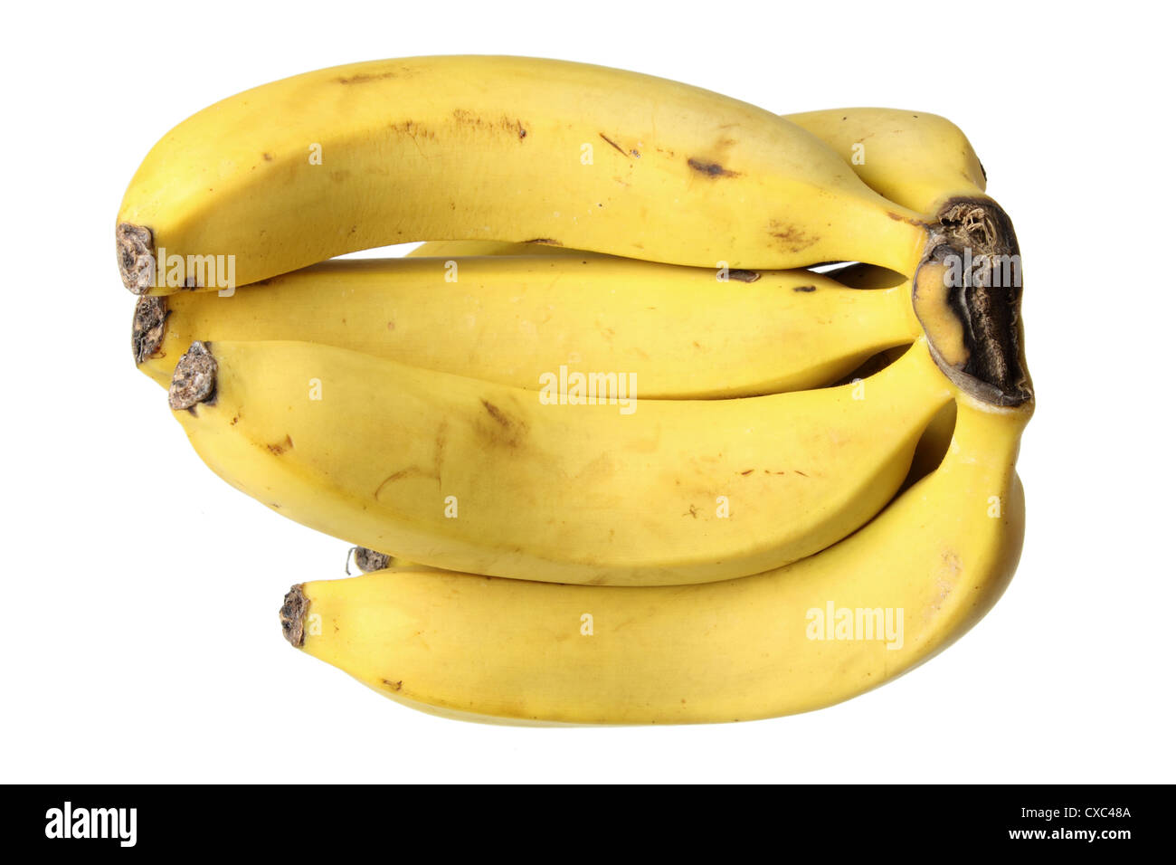 Bunch of Banana Stock Photo - Alamy