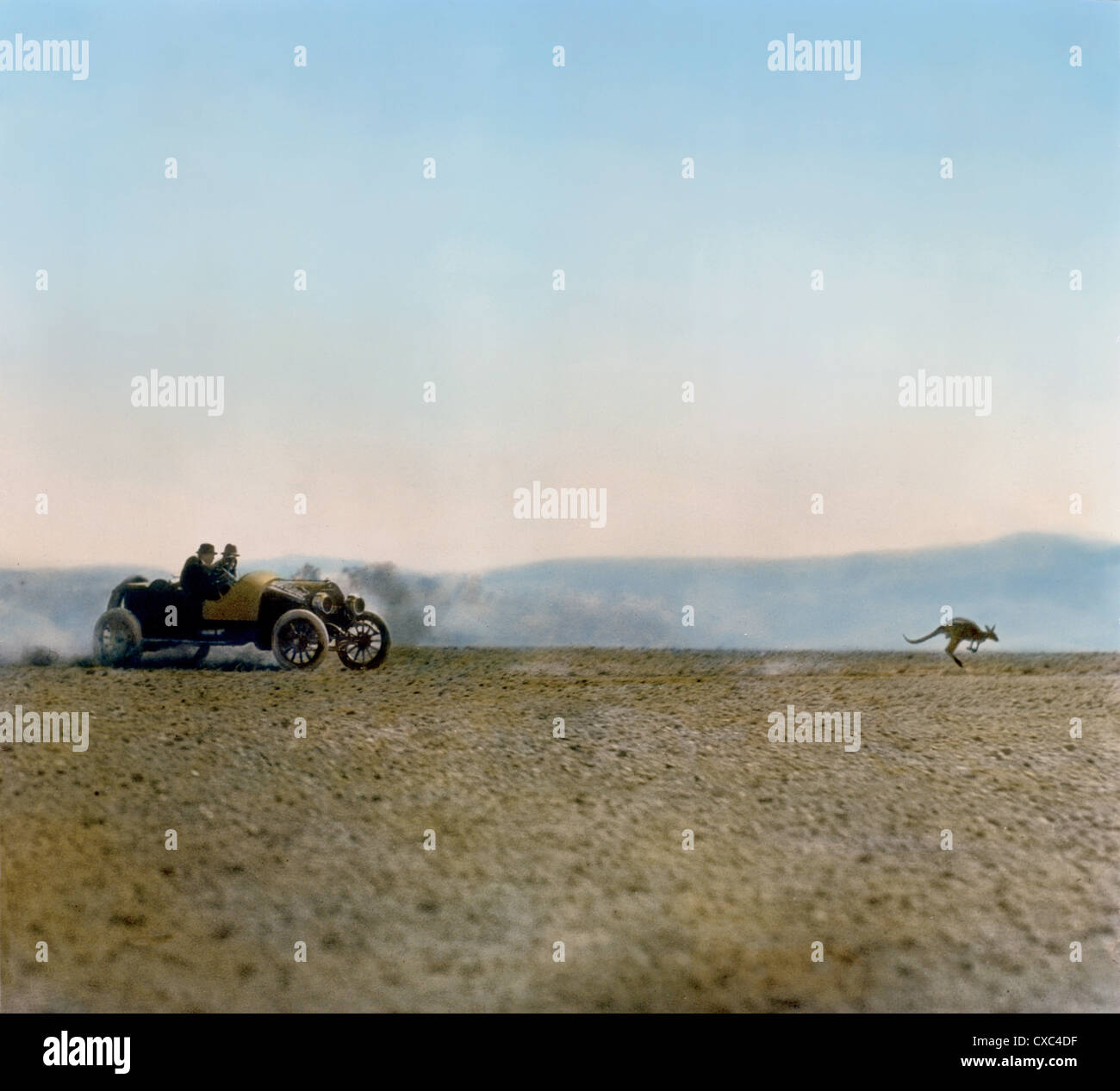 Colorized photo of two men in a car chasing a kangaroo through the ...