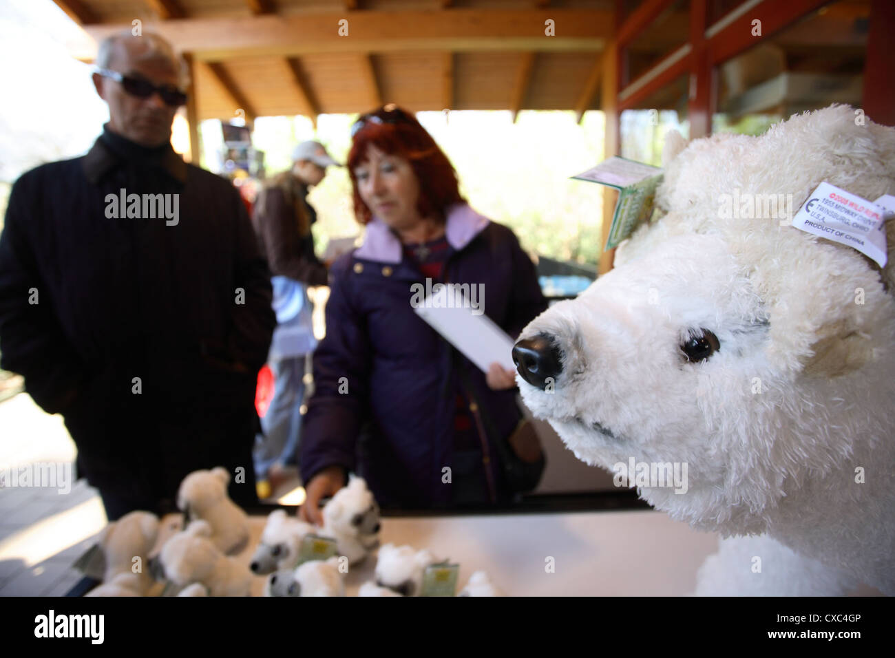 Berlin polar bear Knut as a stuffed animal Stock Photo - Alamy