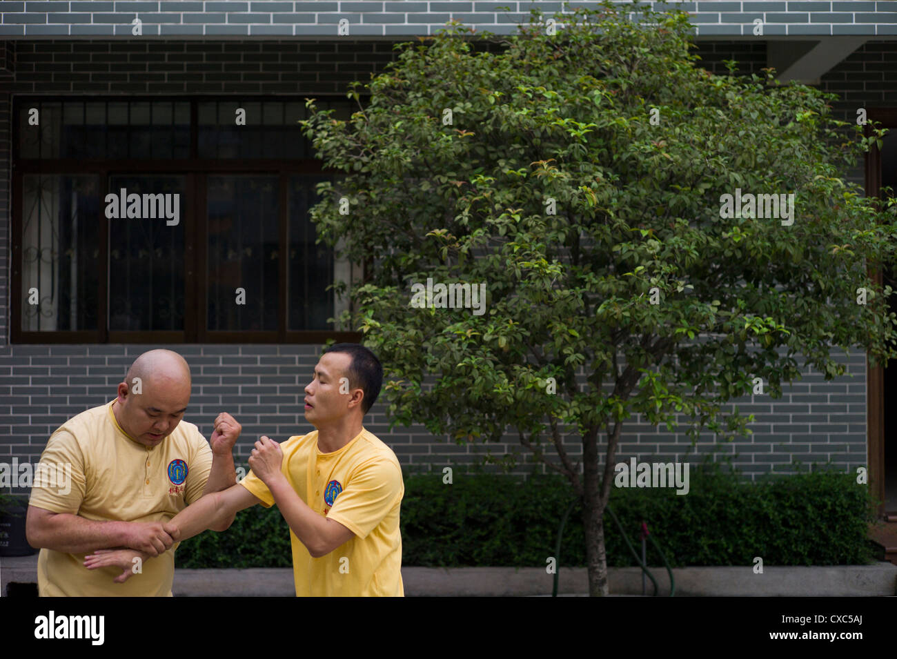 Chinese practise Wing Chun martial art in Guangdong province, China ...