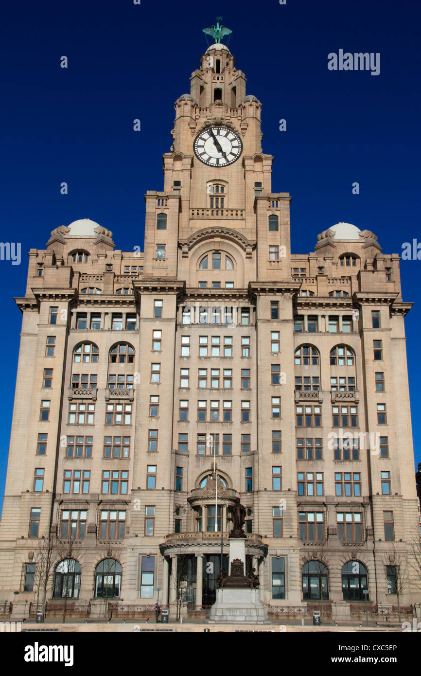 Liverpool Liver Building High Resolution Stock Photography and Images ...