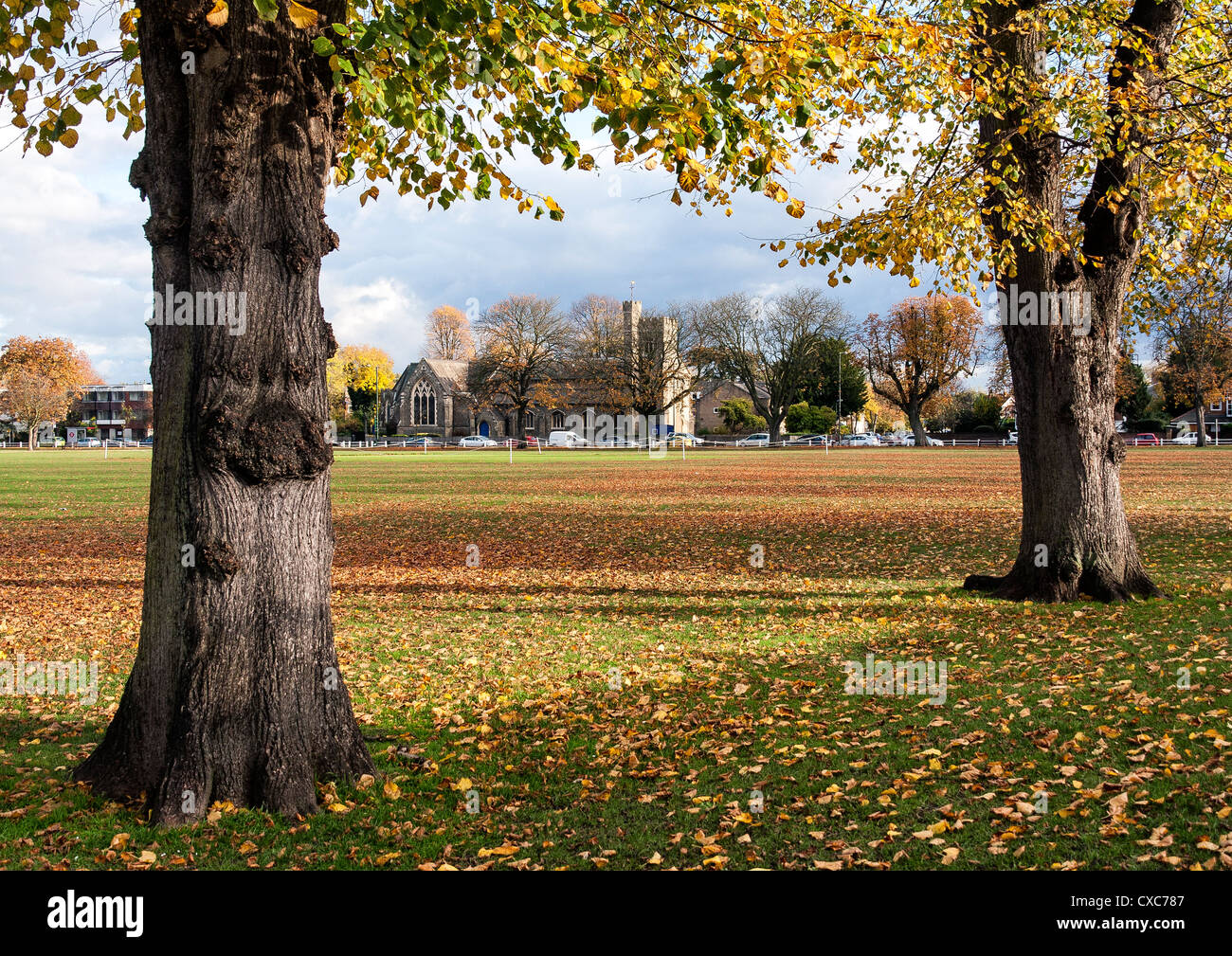 Trinity church on the green hi-res stock photography and images - Alamy