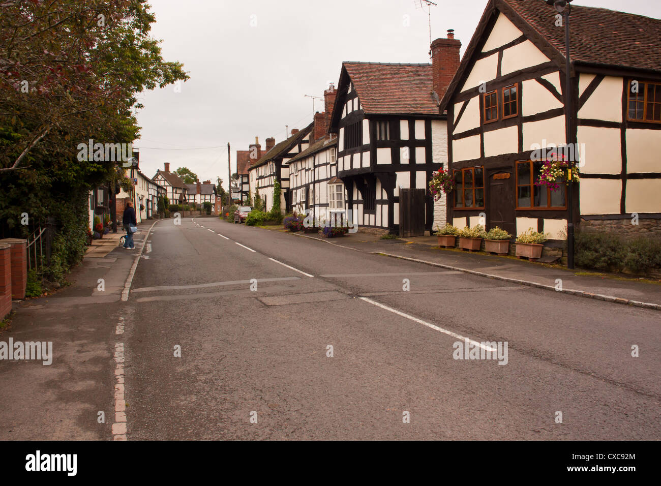 Tudor style houses built from early 1500s hi-res stock photography and ...