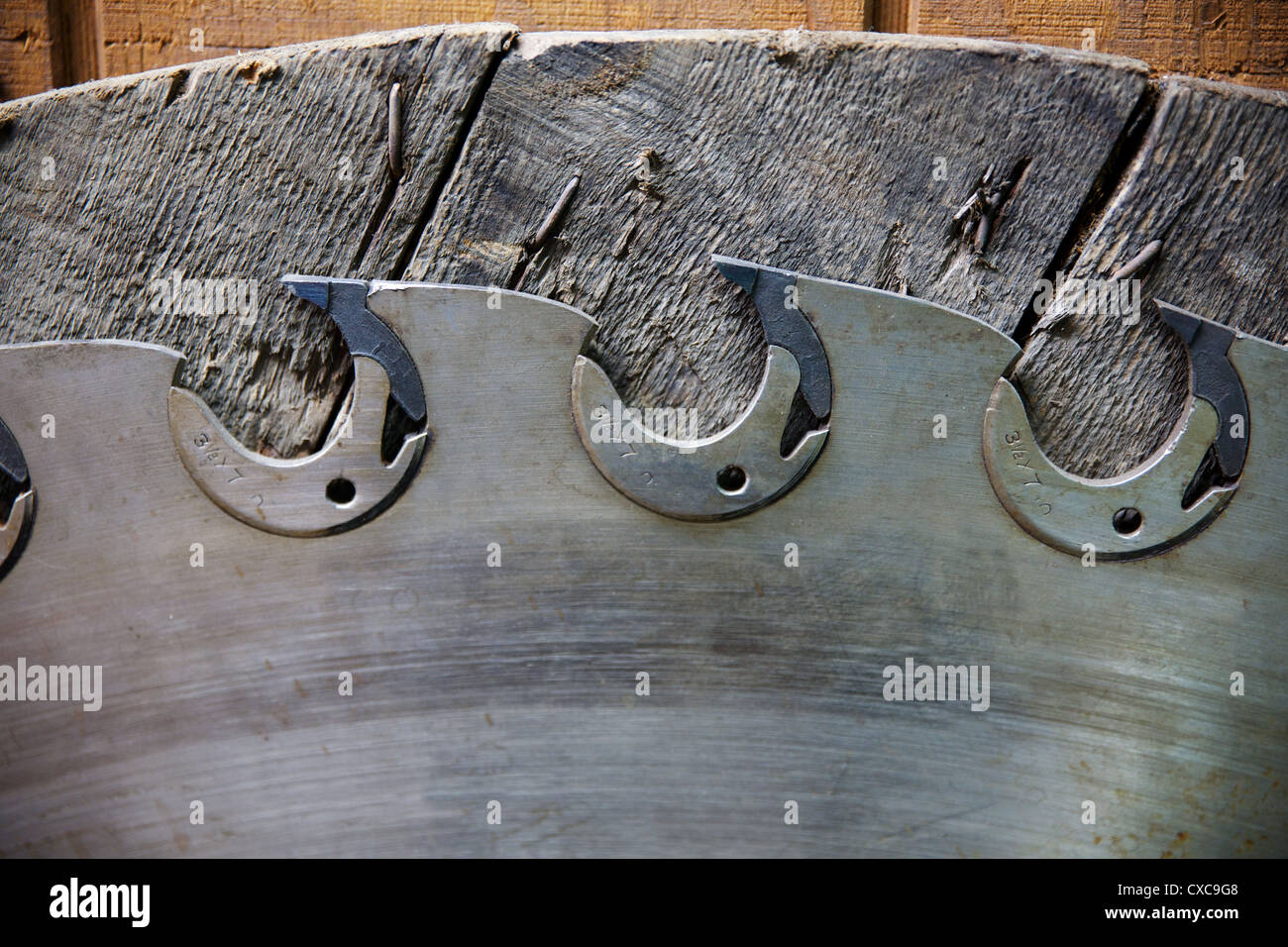 Portion of a Circular steel lumber saw blade mounded on wood Stock ...