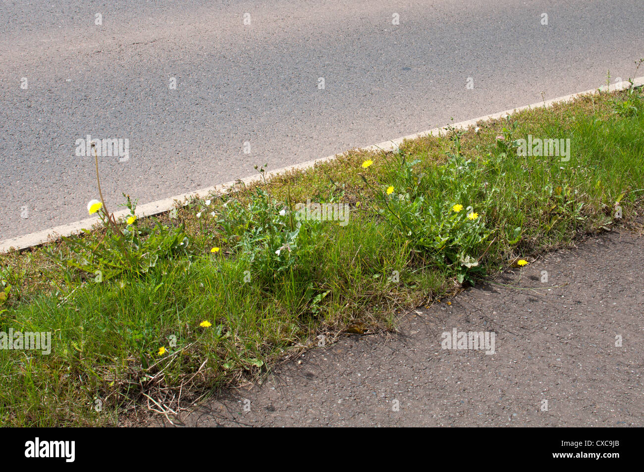 Grass verge hi-res stock photography and images - Alamy