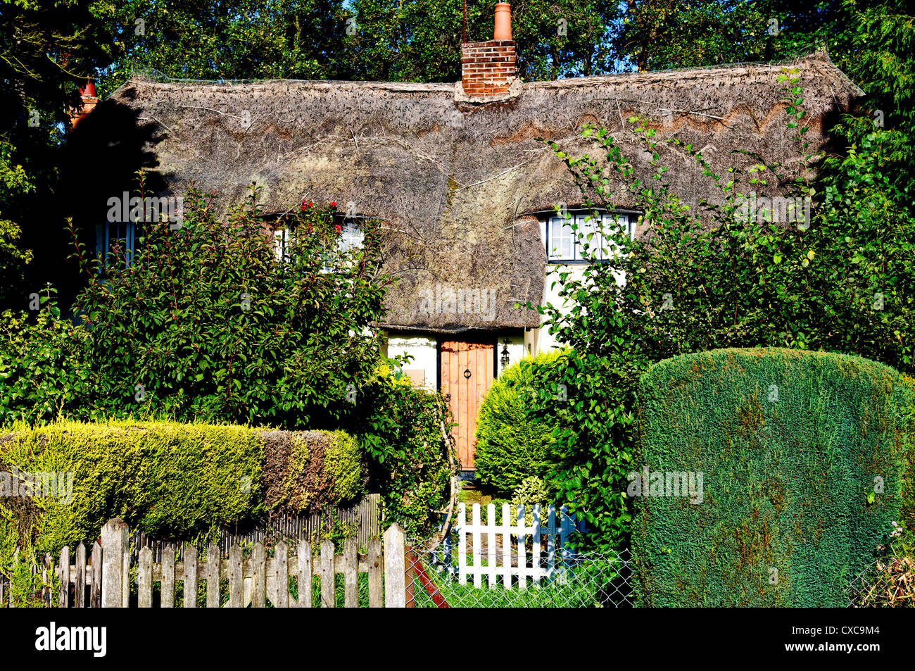 Typical country thatched cottage hi-res stock photography and images ...