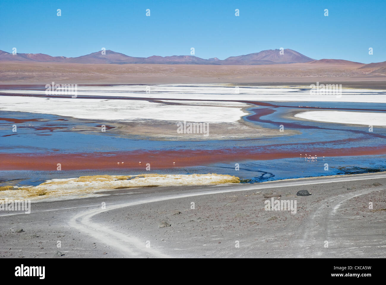 Laguna Colorada, red lagoon in South Lipez Stock Photo - Alamy
