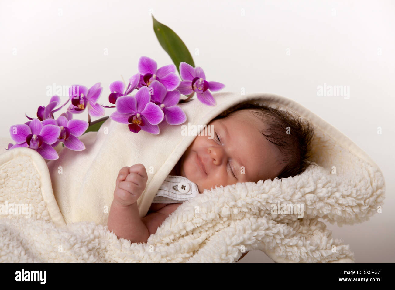 Newborn slipping baby boy studio portrait Stock Photo - Alamy