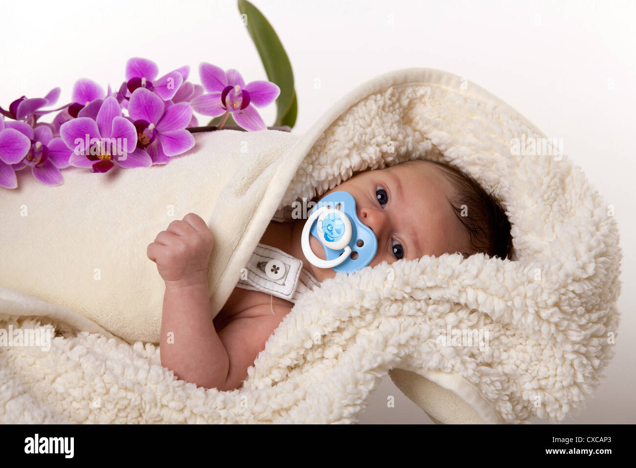 Newborn baby son portrait Stock Photo - Alamy