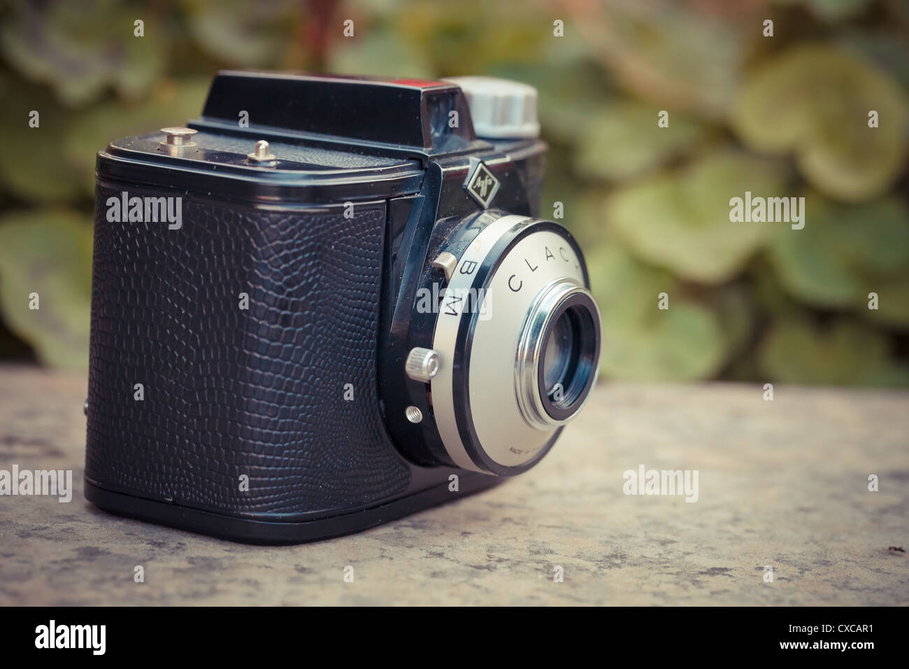 The beautiful design of an old analogic vintage camera Stock Photo - Alamy