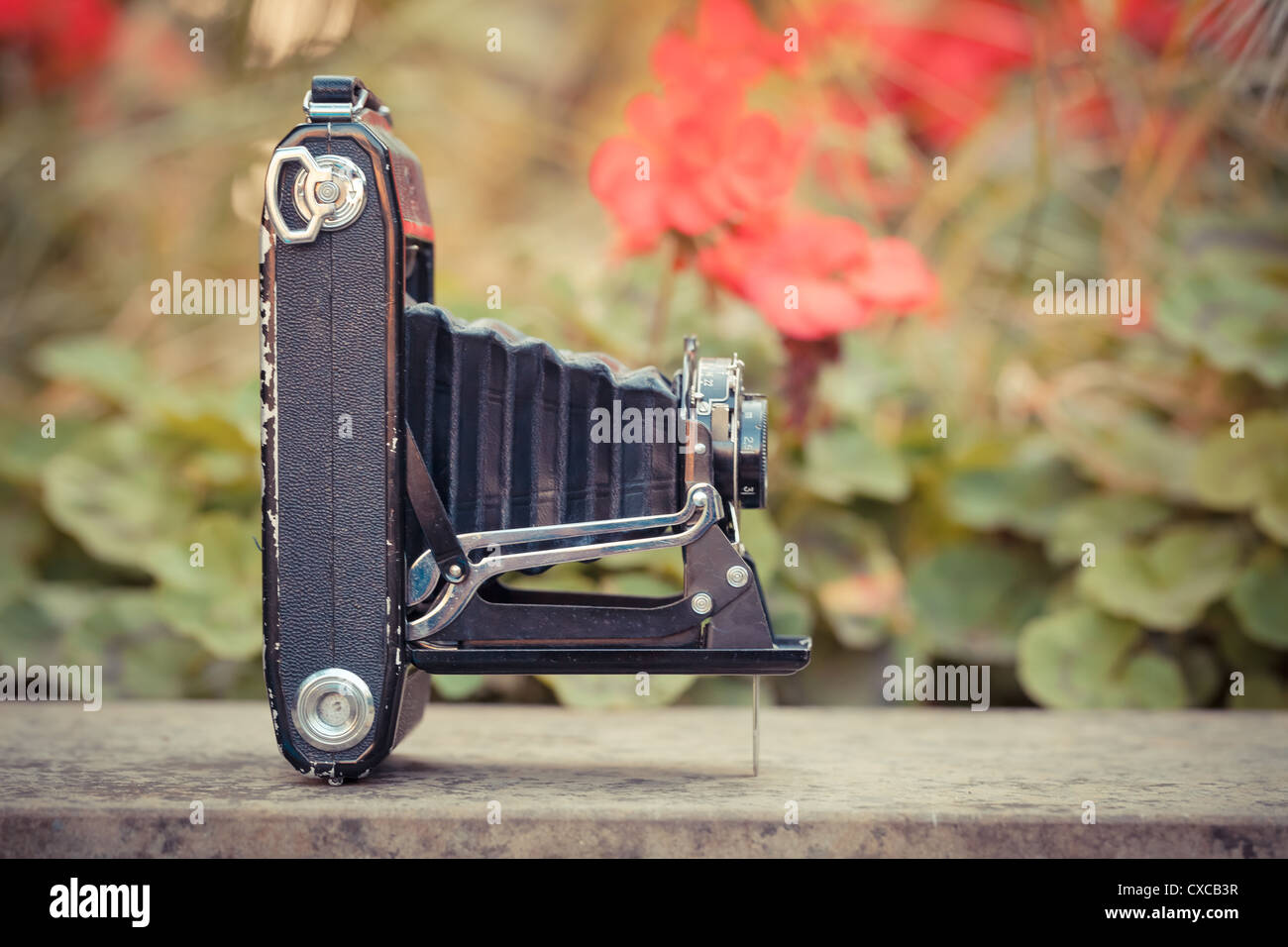 The beautiful design of an old analogic vintage camera Stock Photo - Alamy