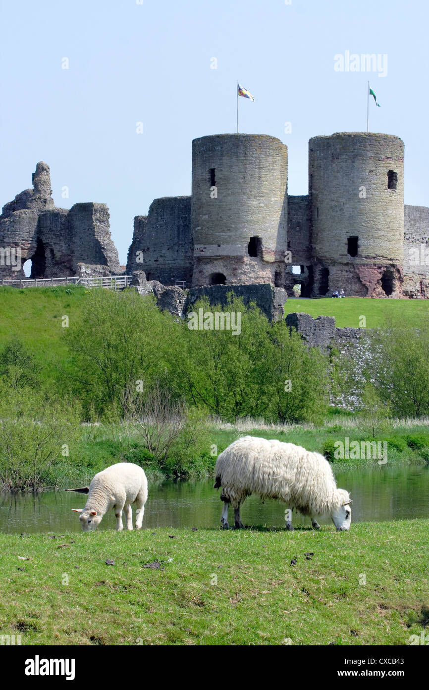 Sheep grazing in front castle hi-res stock photography and images - Alamy