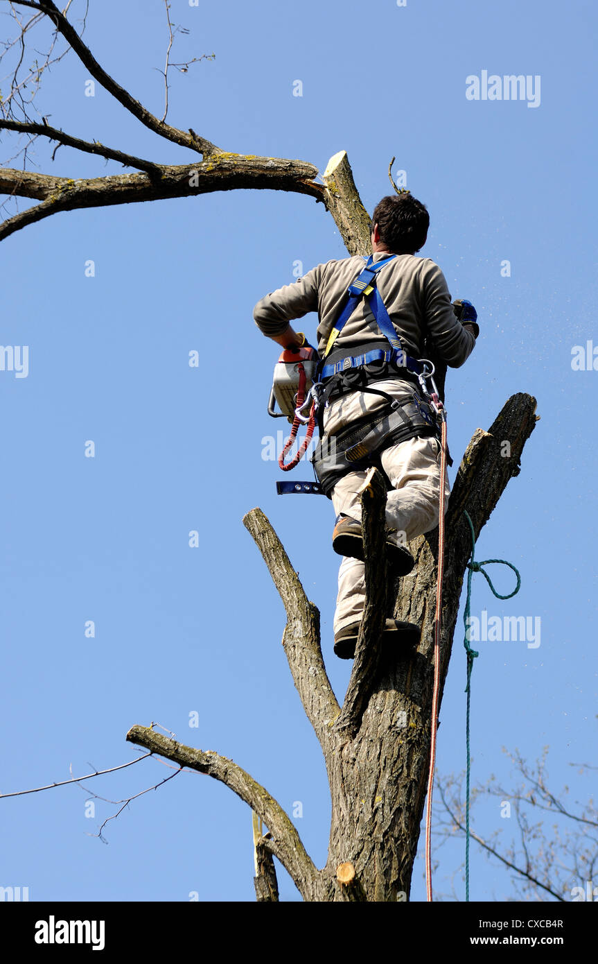 Chute de bois hi-res stock photography and images - Alamy