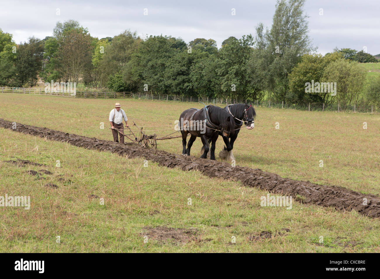 Horse Drawn Plough High Resolution Stock Photography and Images - Alamy